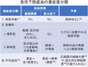 ＜サイドメモ＞急性動脈閉塞によって起こる急性下肢虚血 – 医療法人恵山会 丸山病院